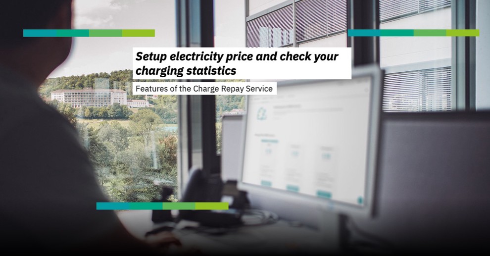 Setup electricity price and check your charging statistics